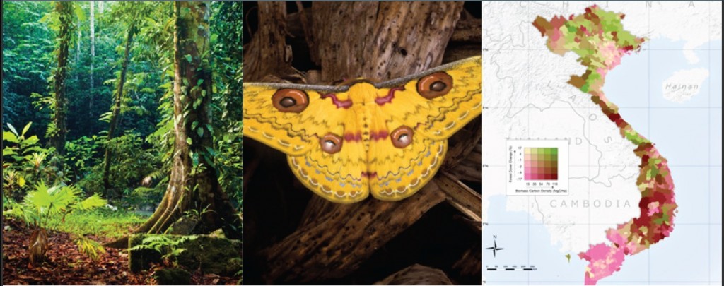Mapping the potential for REDD+ to deliver biodiversity conservation in ...